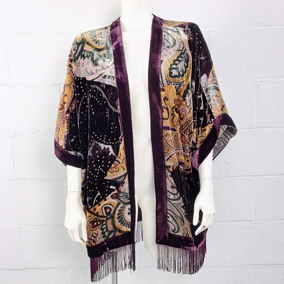 Travelers by Chico's | Tops | Travelers By Chicos Velour Burnout Fringe ...